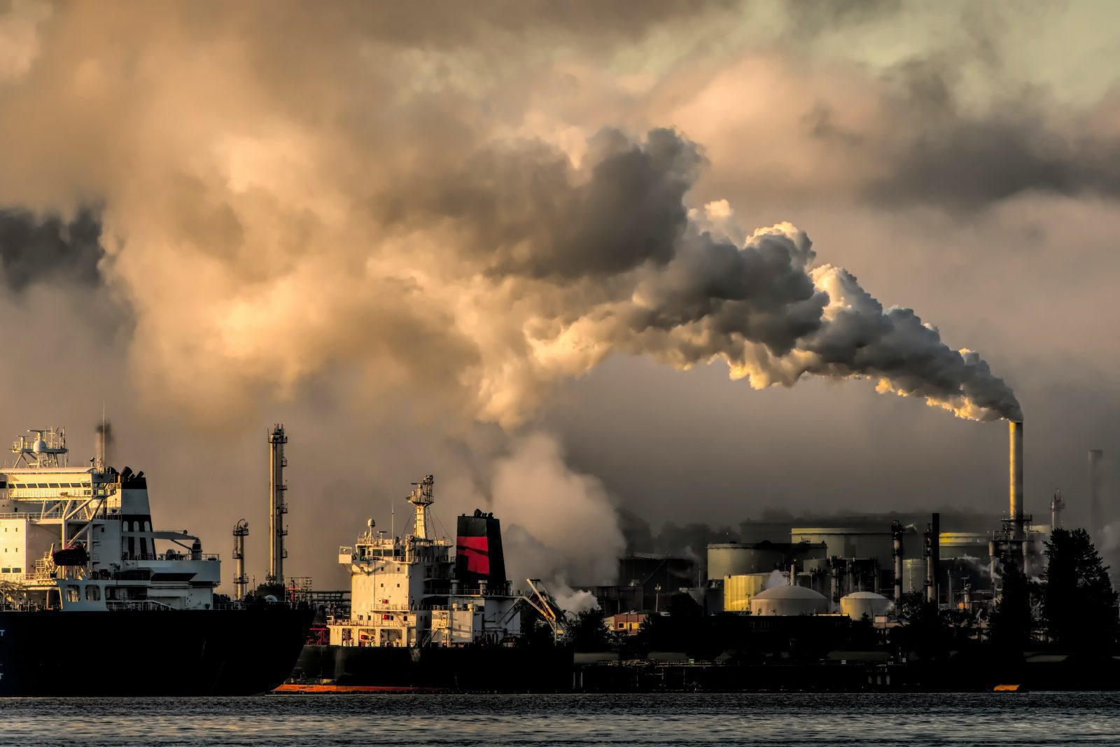 Aframax rates could face further weakening in Q2 2024 | Vortexa