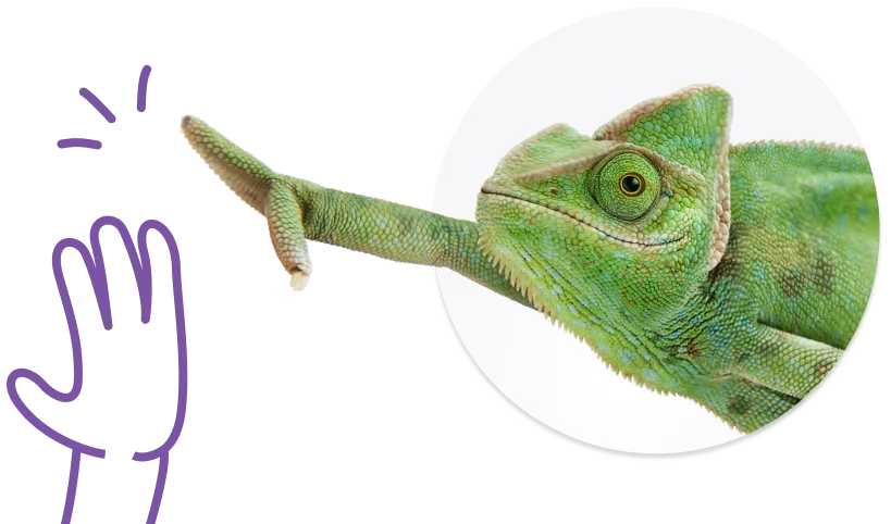 Critter fun | TELUS
