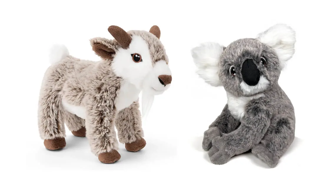 Shop iPhone and Unlimited Data Plans in Canada | TELUS