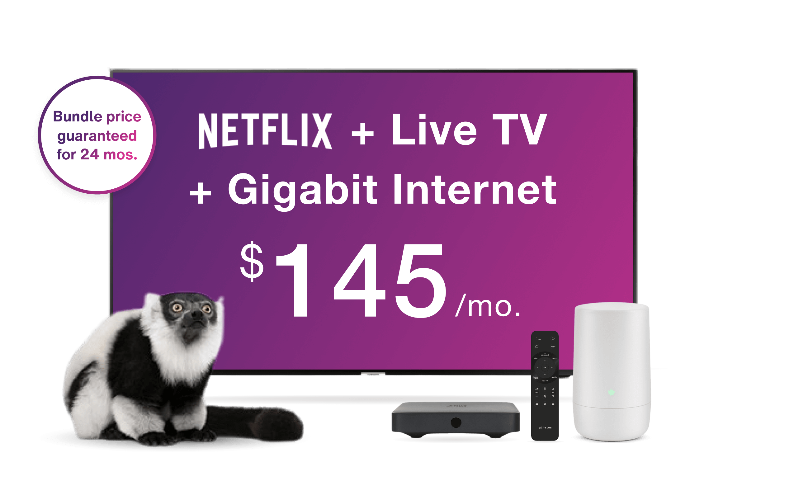 Get PureFibre Gigabit Internet and Netflix with the new Optik TV from ...