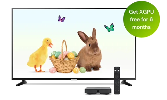 Phones, Internet and TV on the most-awarded network | TELUS