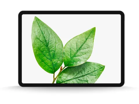 Get started with Kroll | TELUS Health