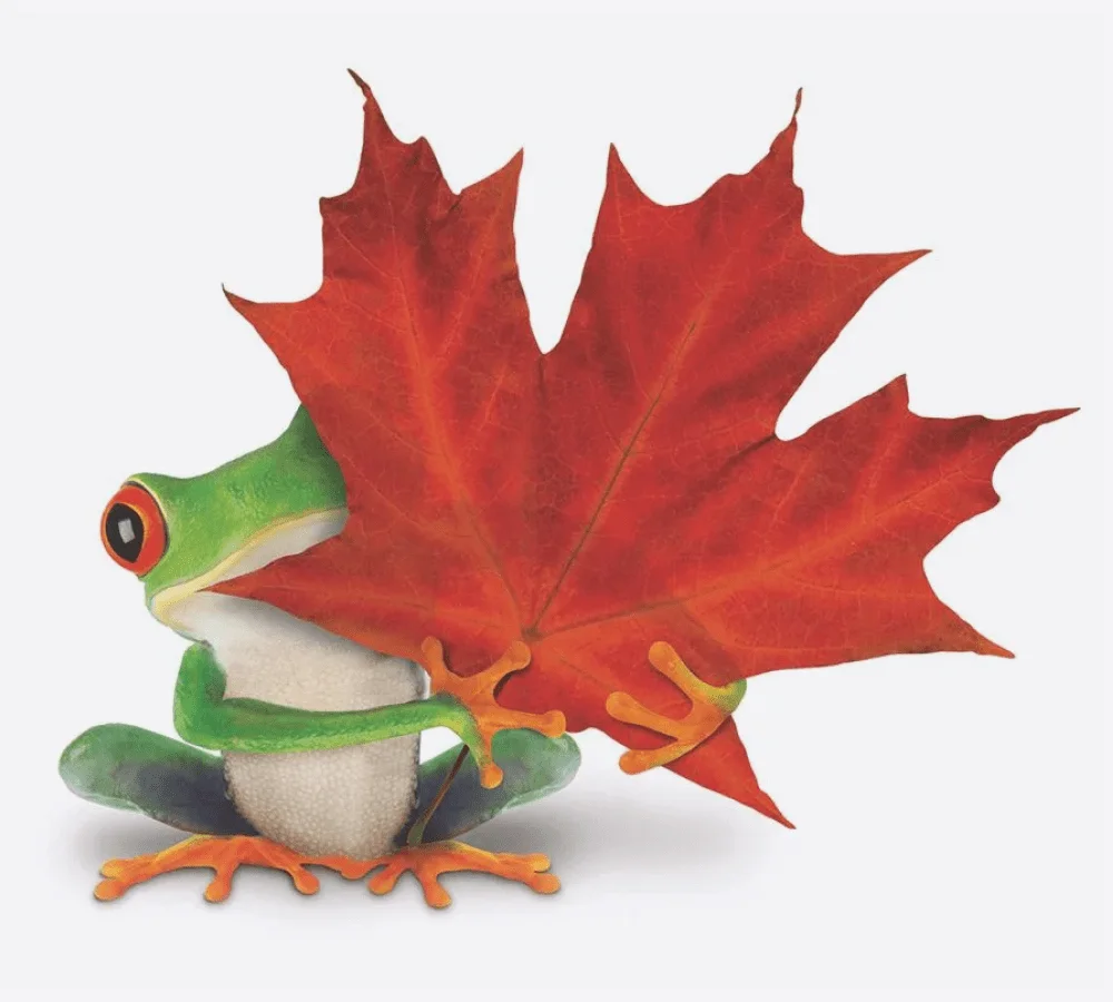 Services téléphoniques, Internet et télé | TELUS