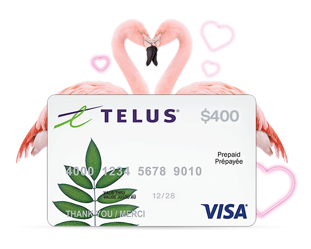 Phones, Internet and TV on the most-awarded network | TELUS