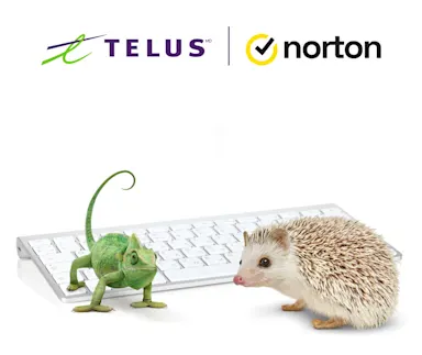 Internet, SmartHome Security, OPTIK TV, Home Phone | TELUS
