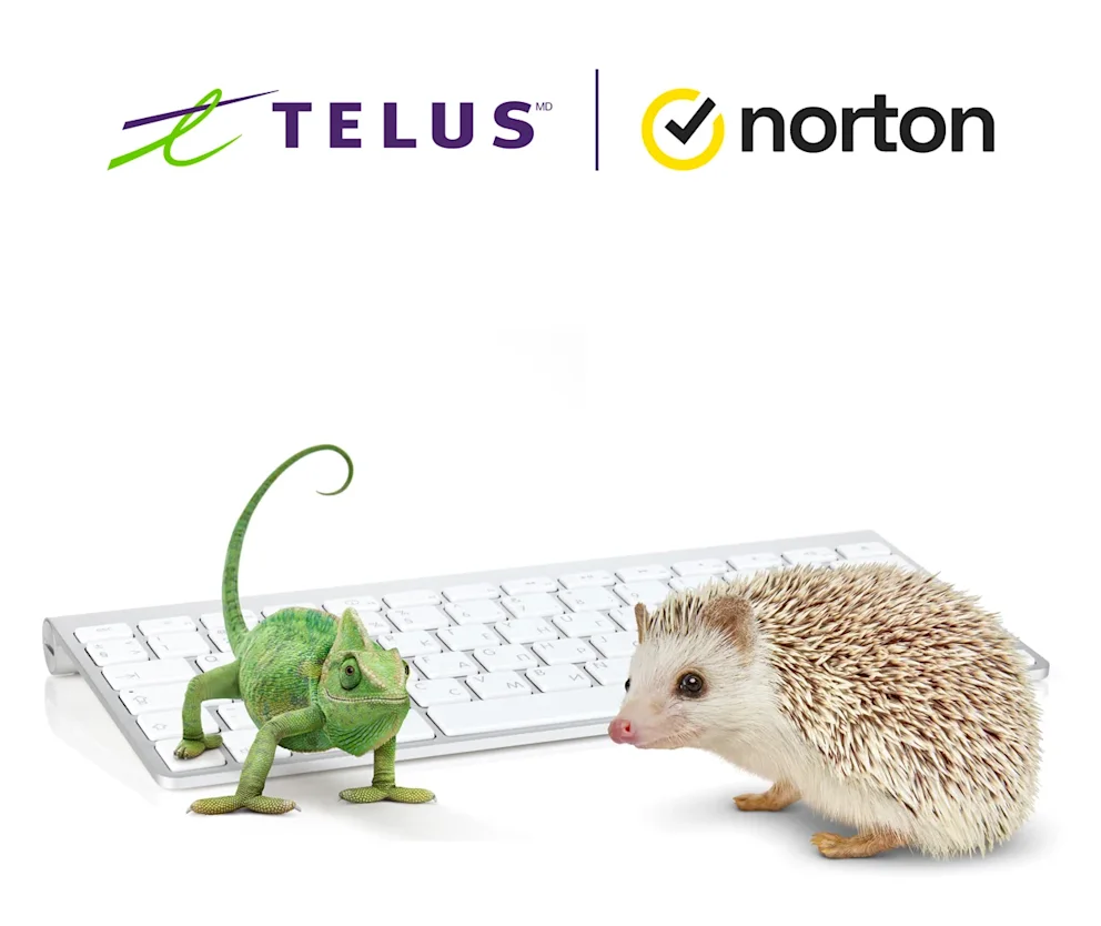Internet, SmartHome Security, OPTIK TV, Home Phone | TELUS