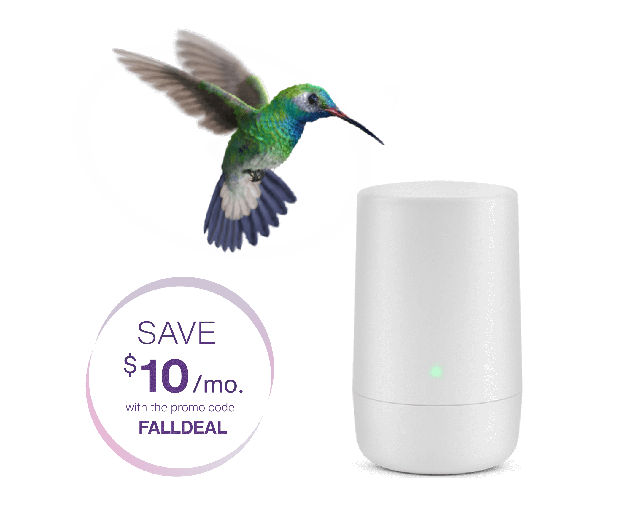 Get TELUS Internet Plus from $65/mo. | TELUS