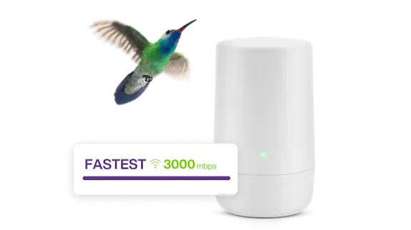 Home Internet - Get Unlimited High Speed Internet | TELUS