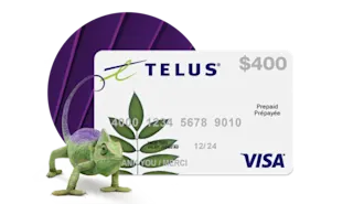 Phones, Internet and TV on the most-awarded network | TELUS