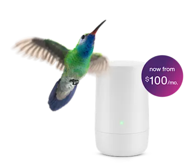 Home Internet - Get Unlimited High Speed Internet | TELUS