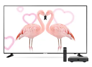 Free 55” Samsung 4K TV with Internet and Optik TV | TELUS