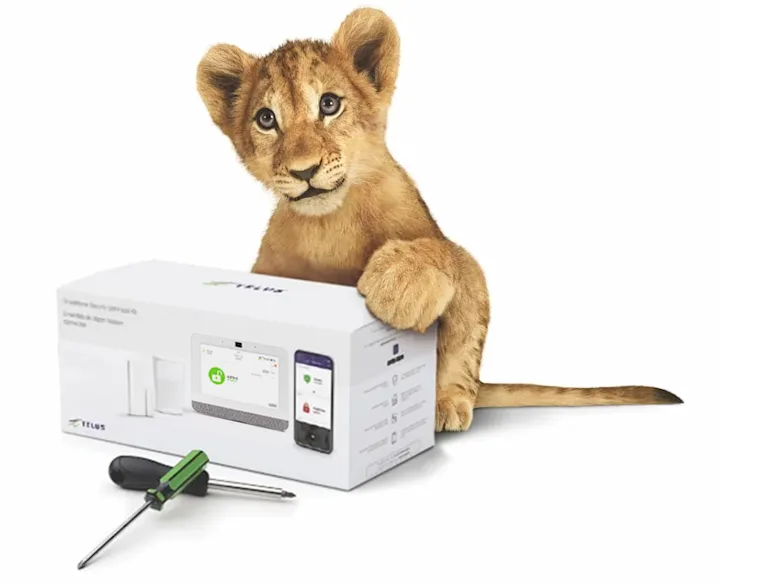 SmartHome Security DIY Self-Install - Home Security | TELUS