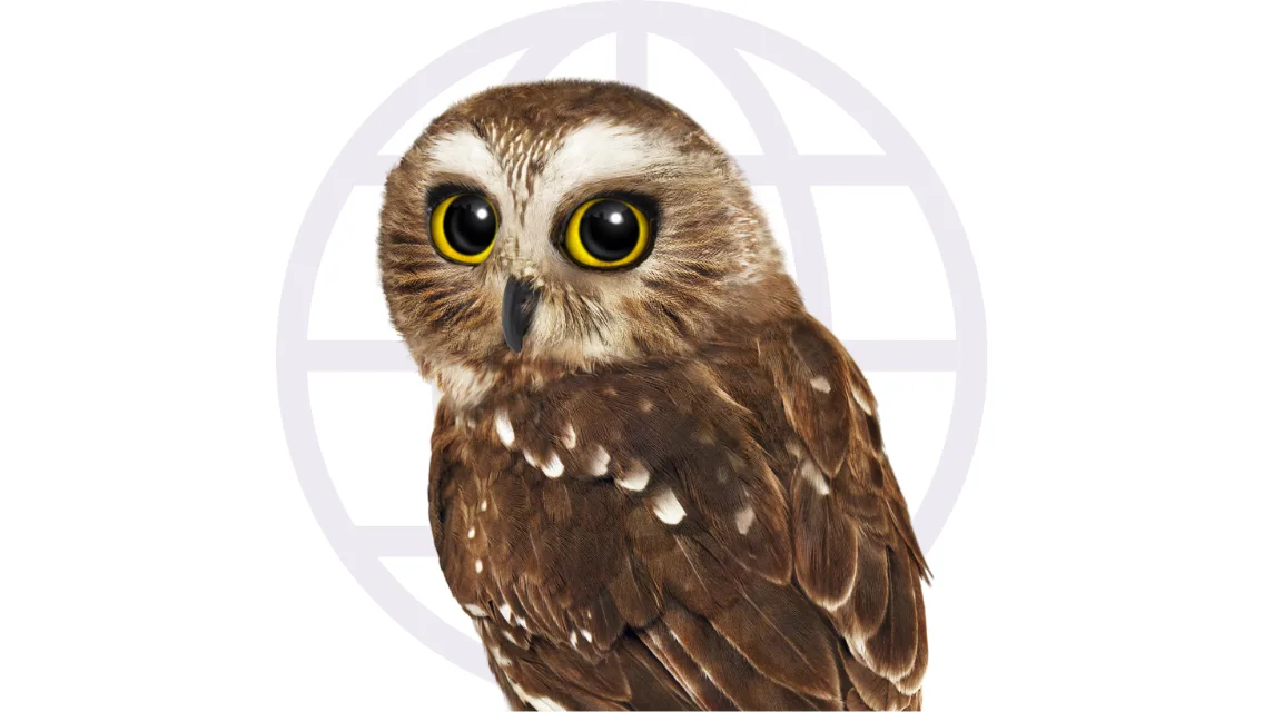 Shop iPhone and Unlimited Data Plans in Canada | TELUS