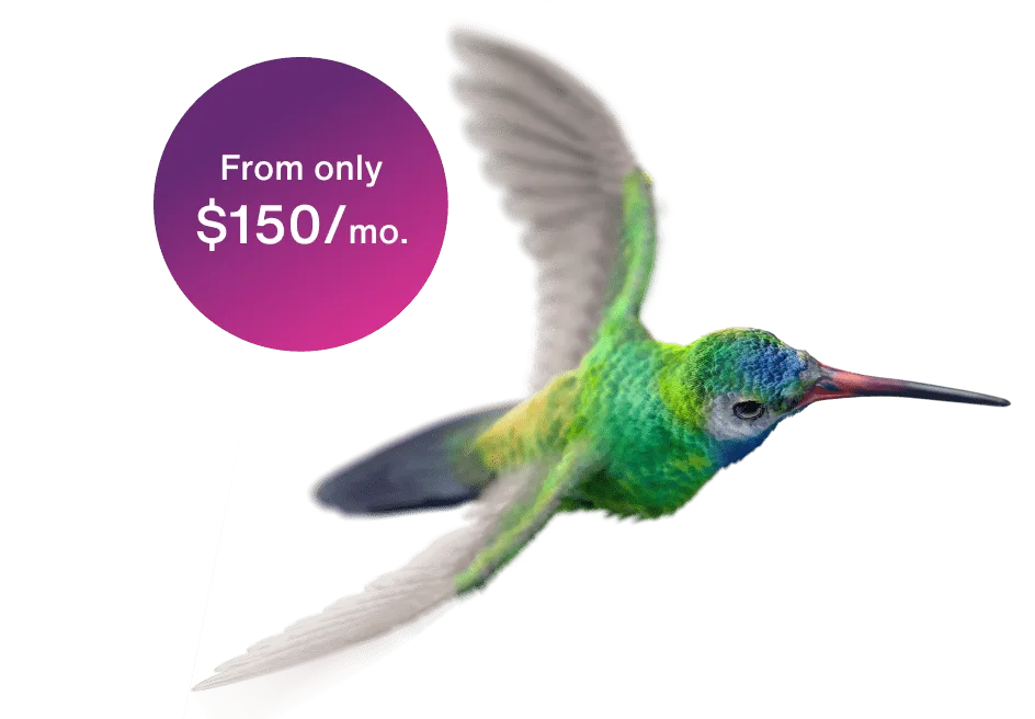 About TELUS PureFibre 5 Gig | TELUS