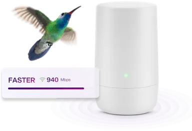 Get 3X PureFibre Gigabit Internet today and save $100 | TELUS