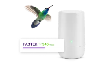 Home Internet - Get Unlimited High Speed Internet | TELUS