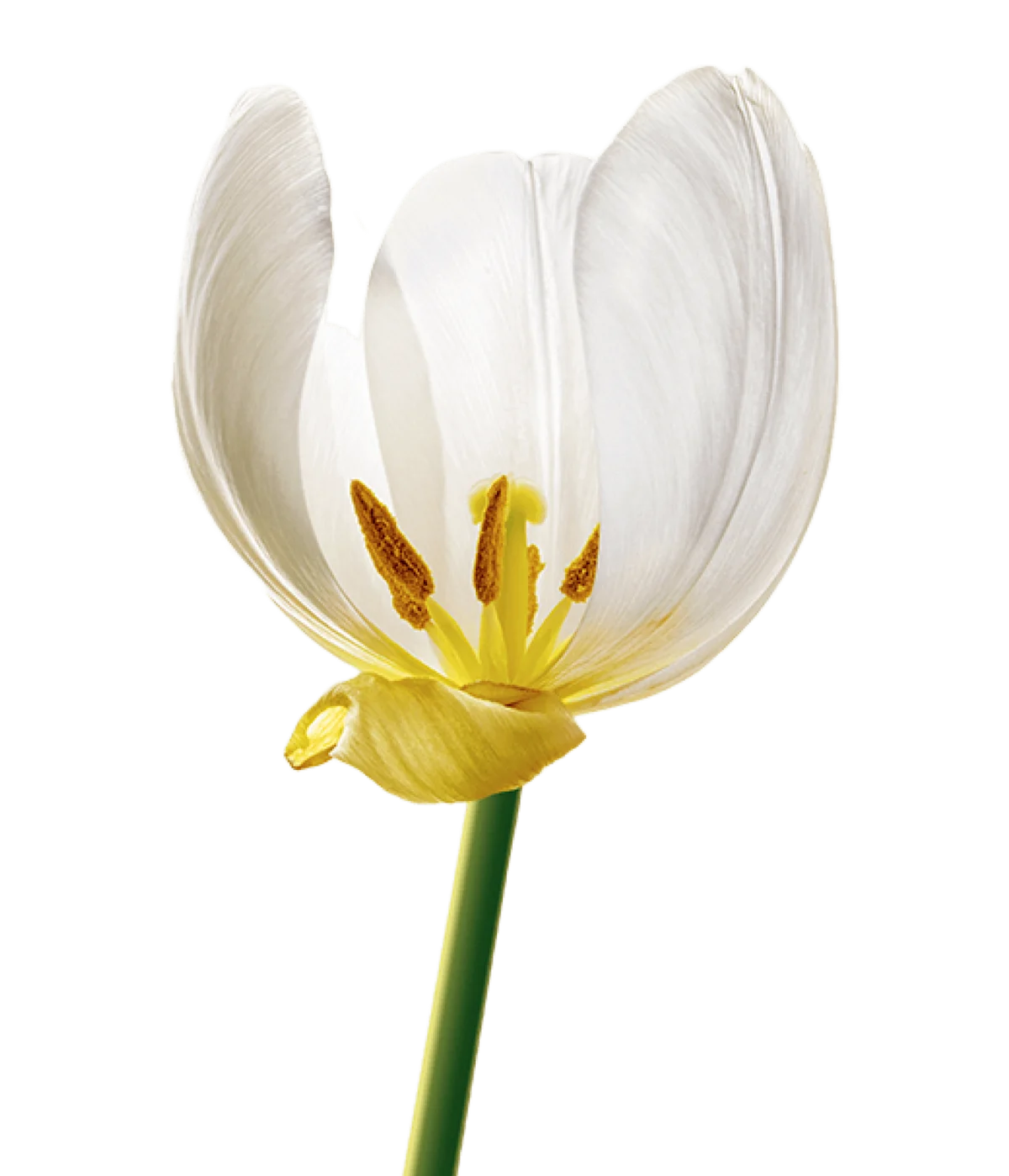 Investing to create opportunity for Canadians | TELUS