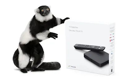 How Optik TV works - Digital TV Services | TELUS