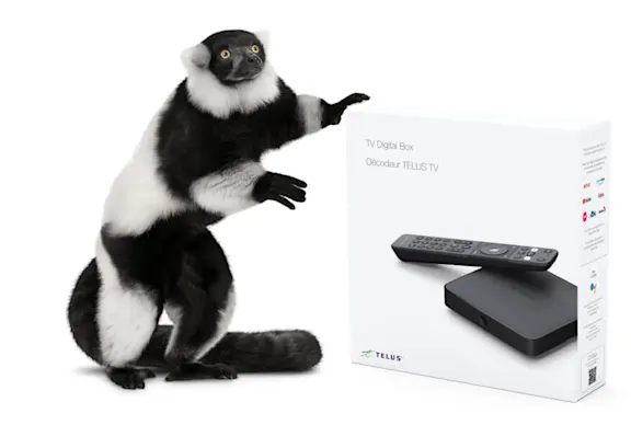 How Optik TV works - Digital TV Services | TELUS