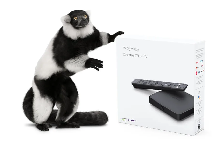 How Optik TV works - Digital TV Services | TELUS