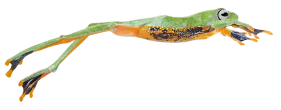 Switch to the network that cares for communities | TELUS