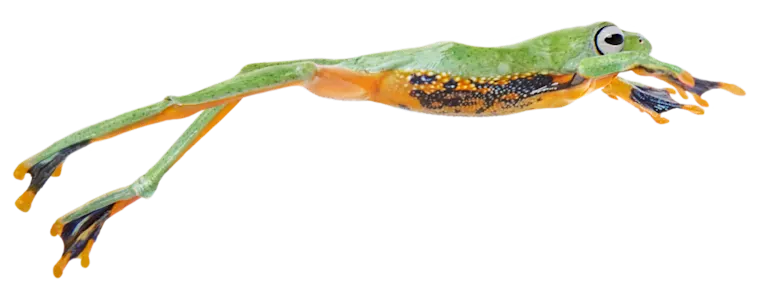 Switch to the network that cares for communities | TELUS