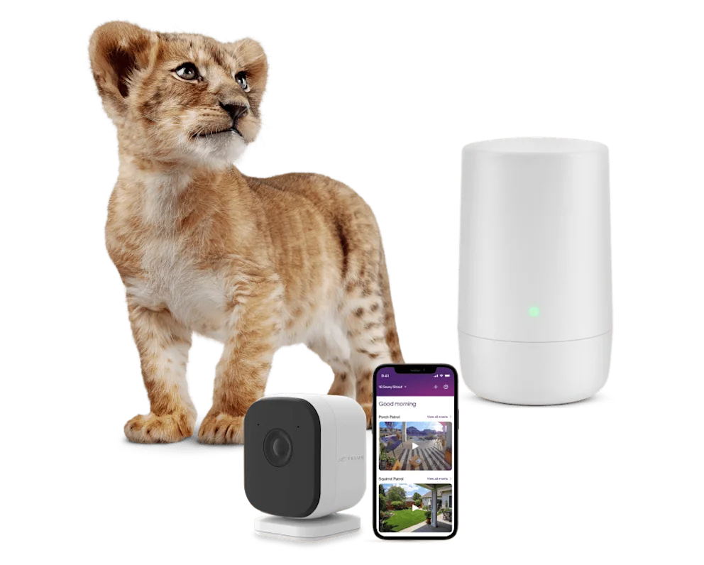 Phones, Internet and TV on the most-awarded network | TELUS