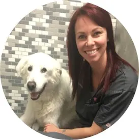 TELUS Health MyPet practitioners | TELUS