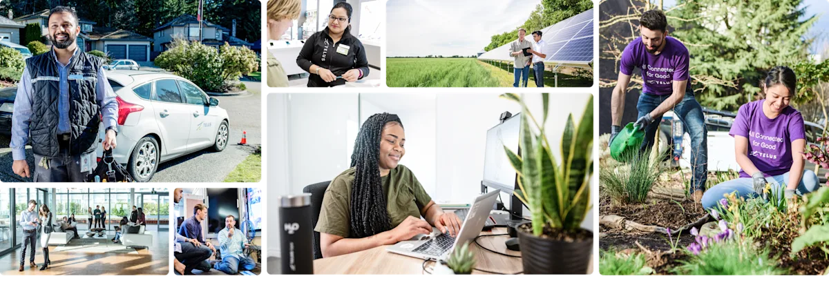 Your amazing career starts here