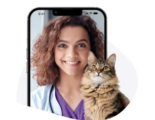 TELUS Health MyPet | TELUS