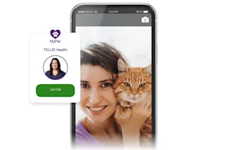 Phones, Internet and TV on the most-awarded network | TELUS