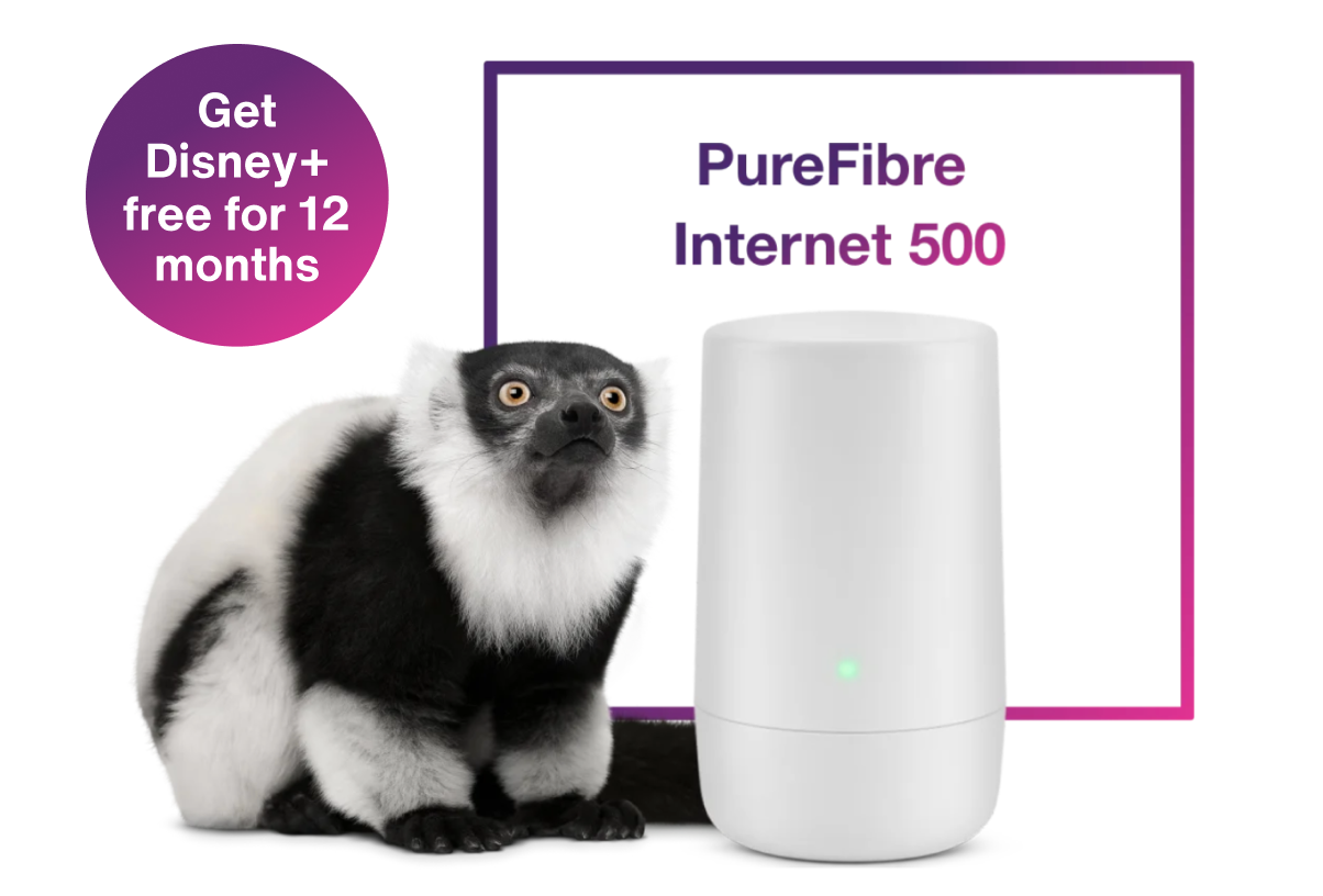 Get PureFibre Internet 500 for $85/mo. | TELUS