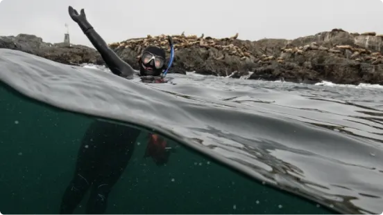 TELUS Local Content - TELUS originals