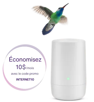 Fournisseurs d'Internet Rimouski - Internet résidentiel | TELUS