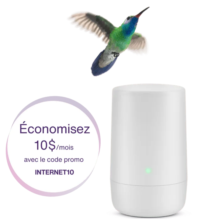 Fournisseurs d'Internet Rimouski - Internet résidentiel | TELUS