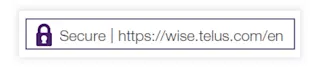 Internet Security and Safety - Security | TELUS