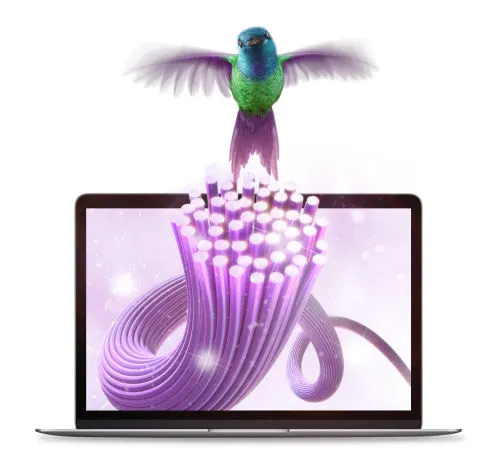 Get TELUS PureFibre for Your Home | TELUS