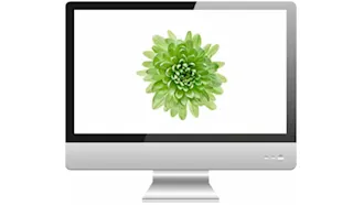 Dental Claims - TELUS Health