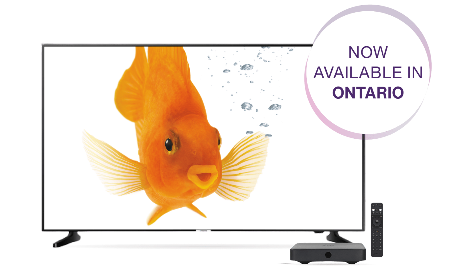 Save on internet, streaming and live TV in Ontario | TELUS