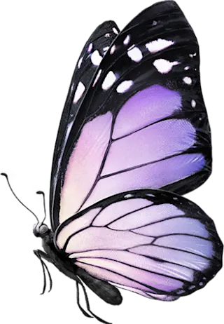 LTE SIM and eSIM Cards for Phones & Tablets | TELUS