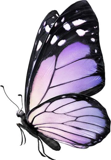 LTE SIM and eSIM Cards for Phones & Tablets | TELUS