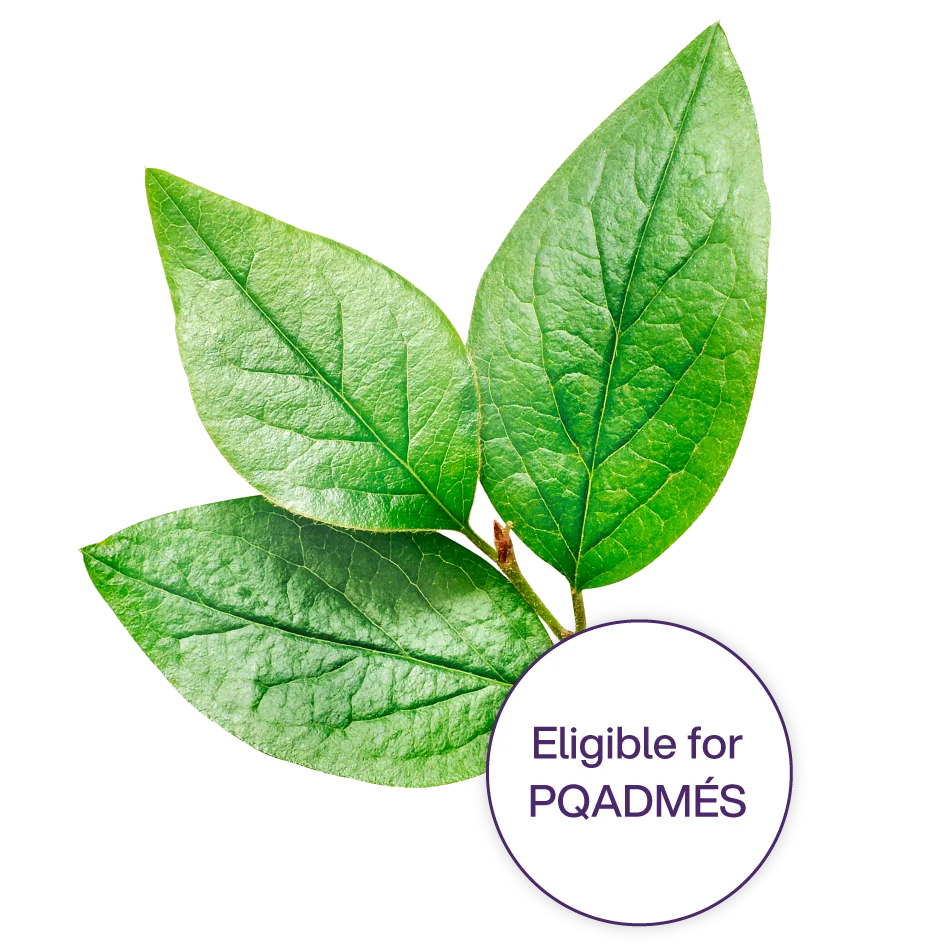 Medesync EMR | TELUS Health