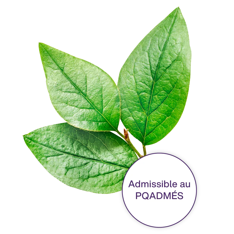 Medesync DME | TELUS Santé