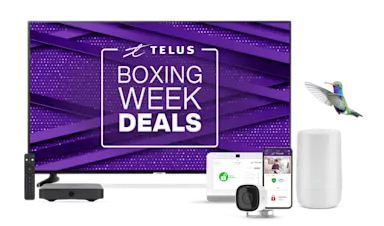 Save big by bundling Mobility and Home Services | TELUS