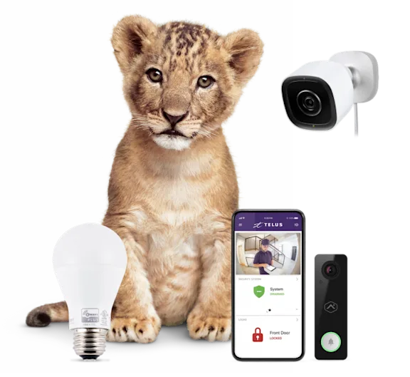 Indoor And Outdoor Wireless Home Security Cameras | TELUS
