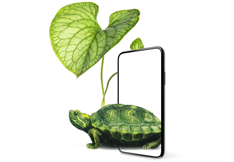 Phones, Internet and TV on the most-awarded network | TELUS