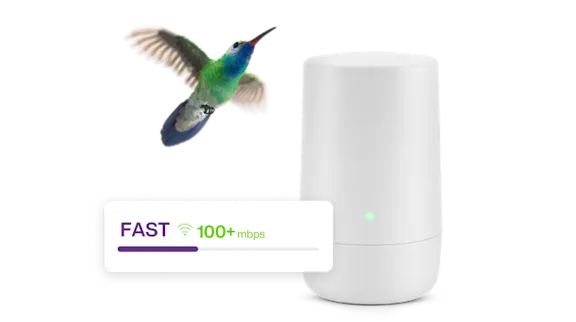 En savoir plus sur l'Internet résidentiel | TELUS