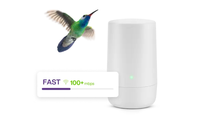 Home Internet - Get Unlimited High Speed Internet | TELUS