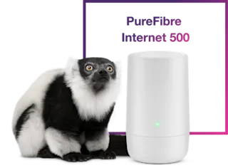 Get PureFibre Internet 500 for $85/mo. | TELUS