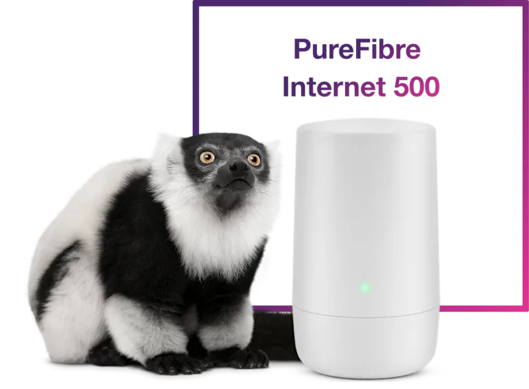 Get PureFibre Internet 500 for $85/mo. | TELUS